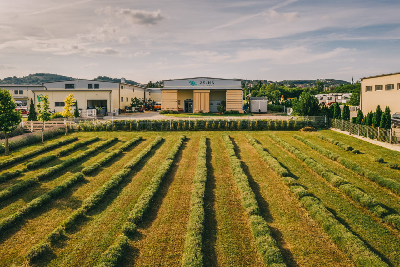 Zelna Borászat | Balatonfüred turizmus